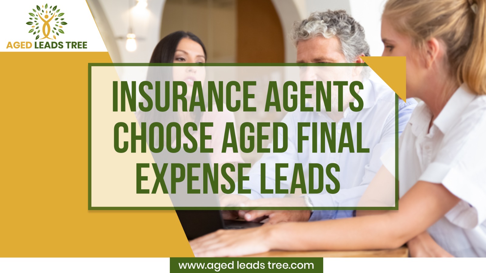Why Insurance Agents Choose Aged Final Expense Leads in 2025 ...